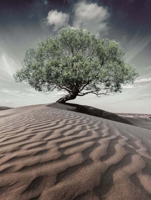 Heilpraktiker Augsburg - Naturheilpraxis Peter Rauch